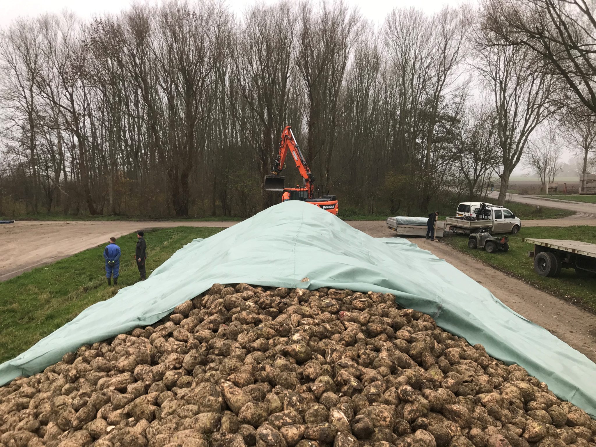 Toptex bestellen en Praktijkdag BIET kennis - Cosun | Suikerbieten